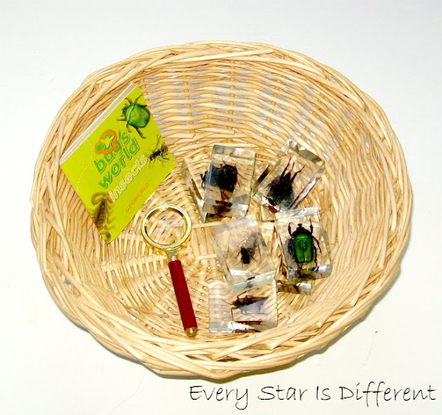 Insect Unit 2 with Free Printables - Every Star Is Different