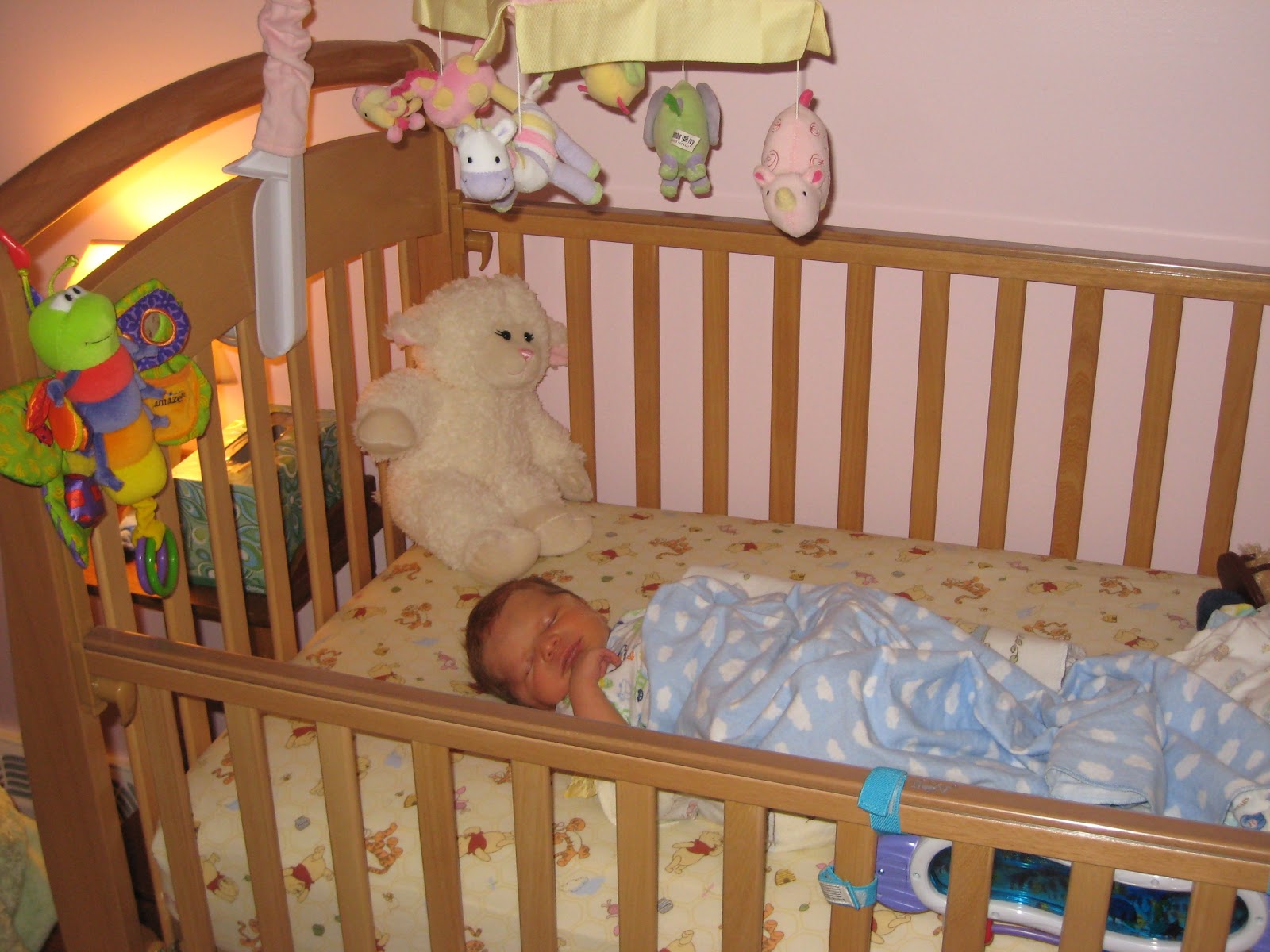 Taking it Day by Day with Developmental Delays/Now Severe Multiple ...