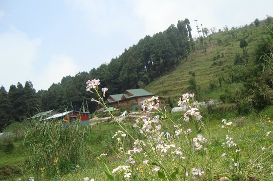 The Weekender: Senchal Wildlife Sanctuary with Chatakpur,Bagora ...