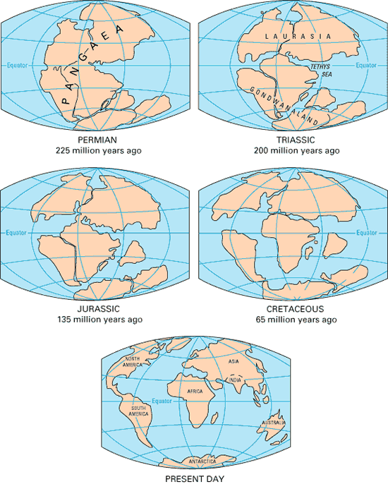 Mr. Gantt's Earth Science Lab Blog: 4th Grade-Week 4 Pangea and Quiz #1
