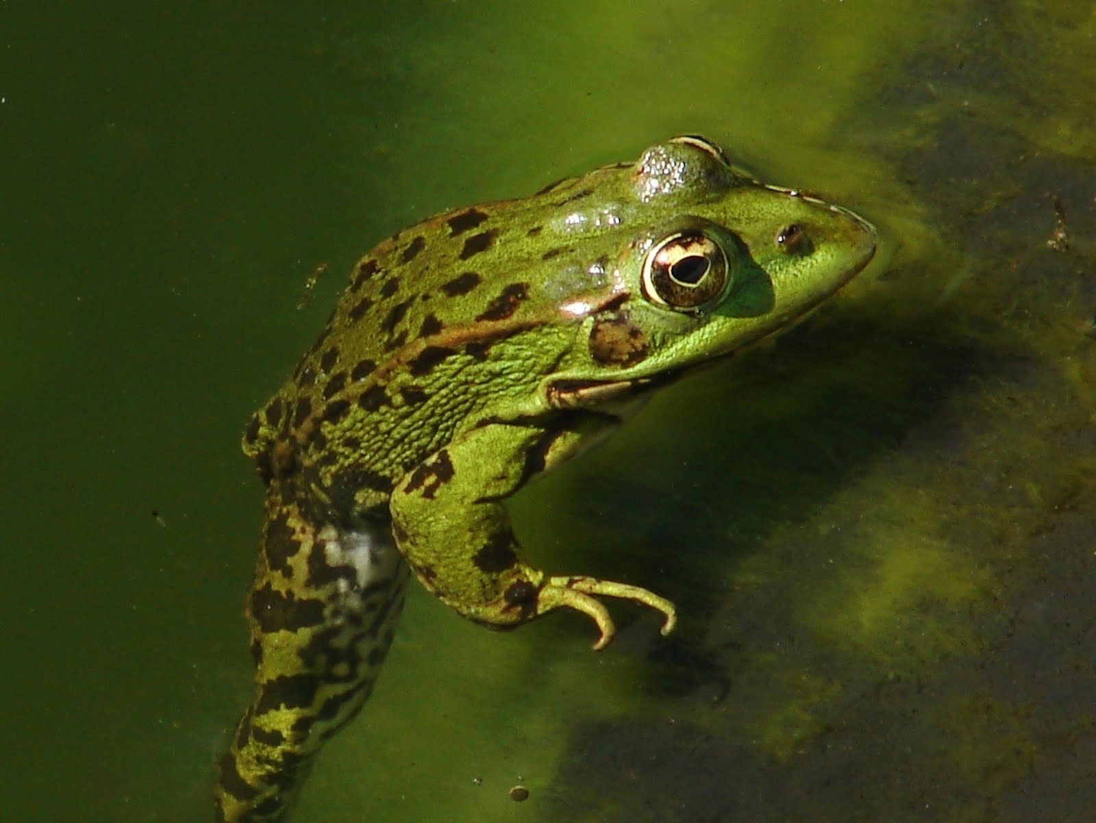 BREATHTAKING: December 2012