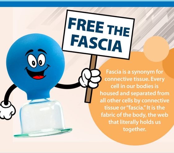 Fascia's Role in Stiffness, Tightness & Pain