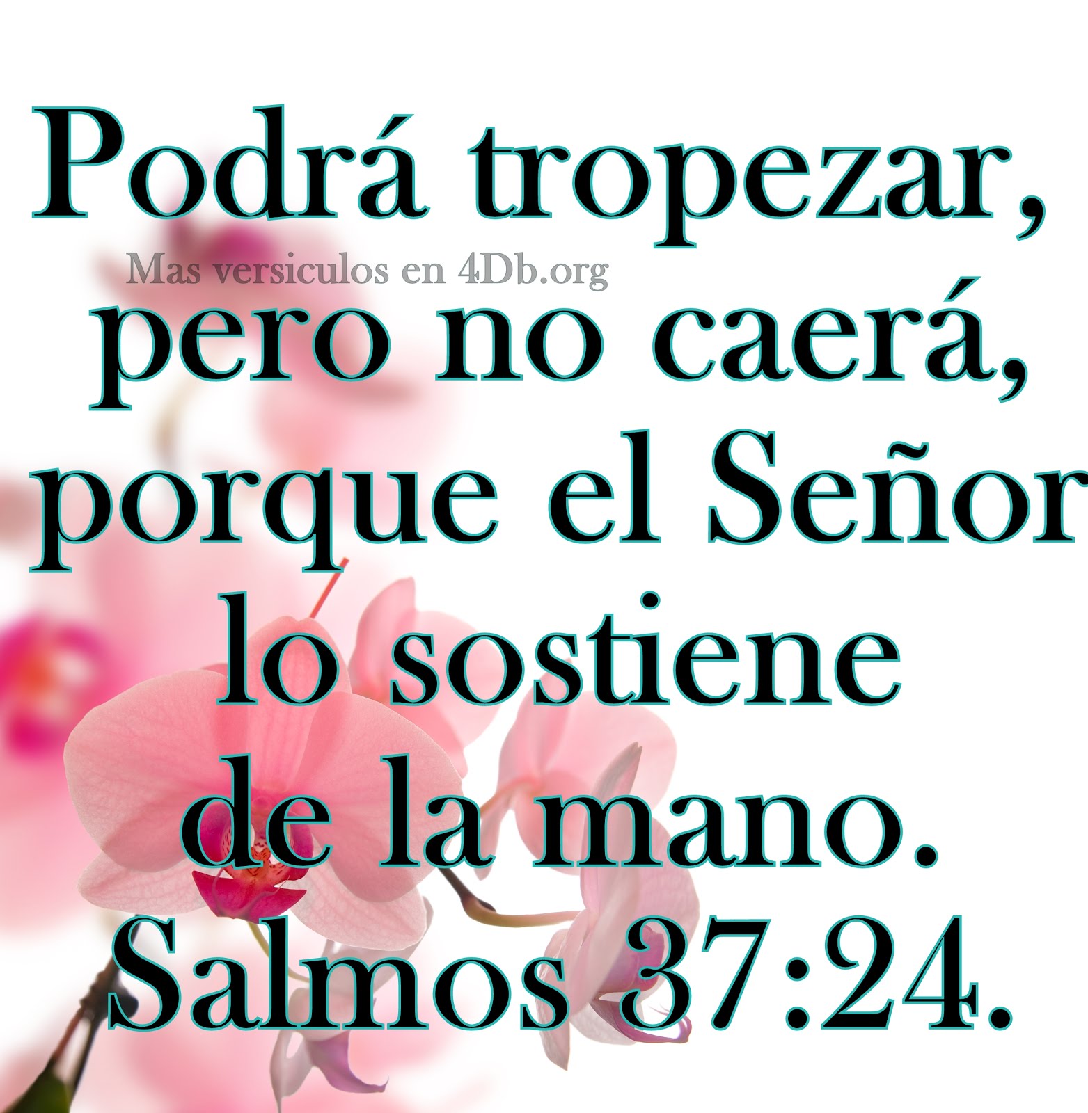 Promesa de Dios para Hoy