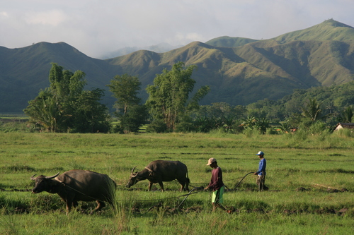 ANG NUEVA ECIJA: BYAHENG NUEVA ECIJA