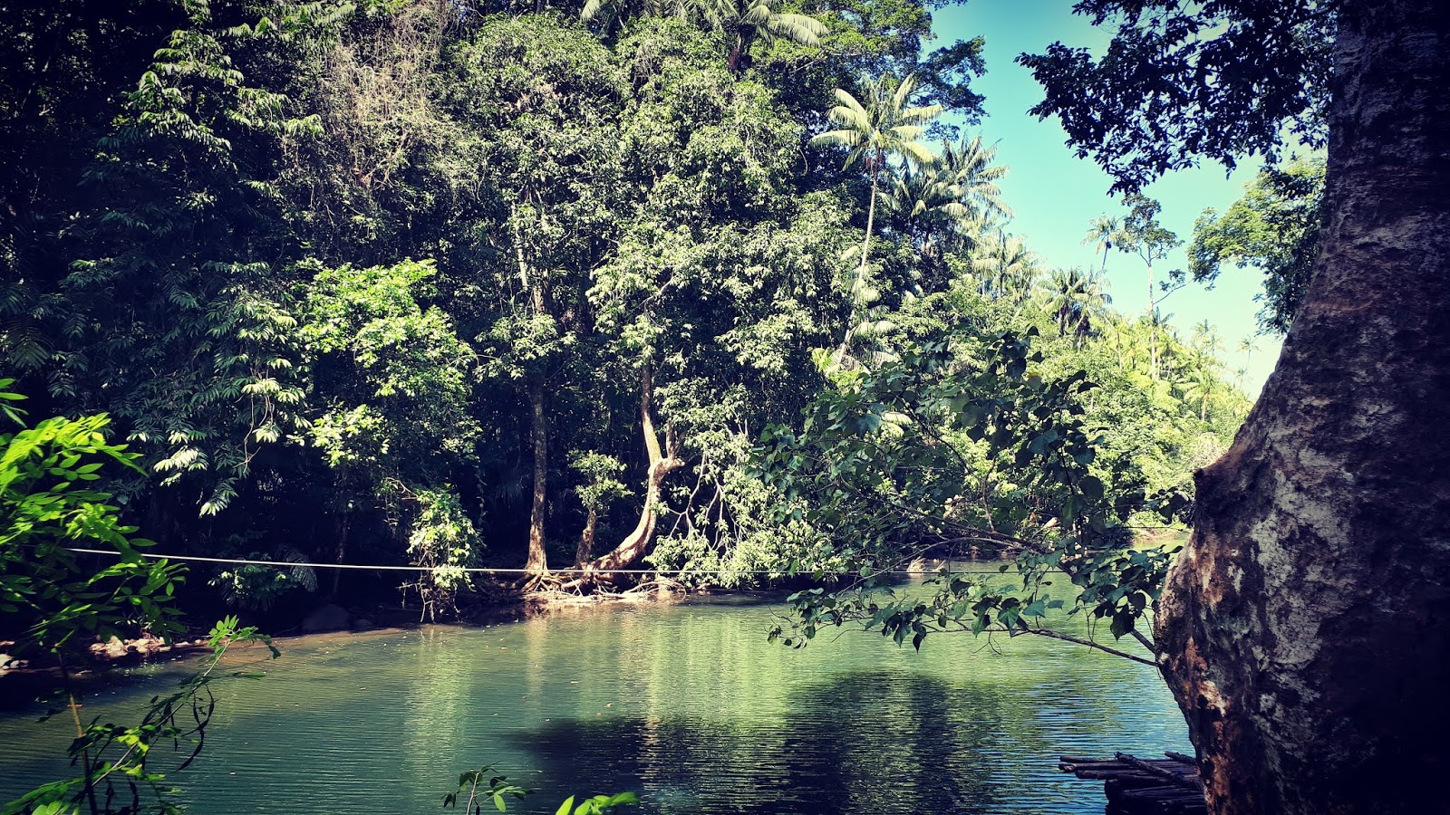Misteri Hutan Sancang Garut