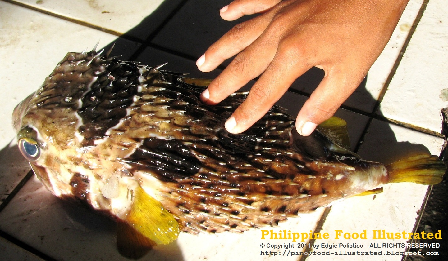 Philippine Food Illustrated: buteteng laot