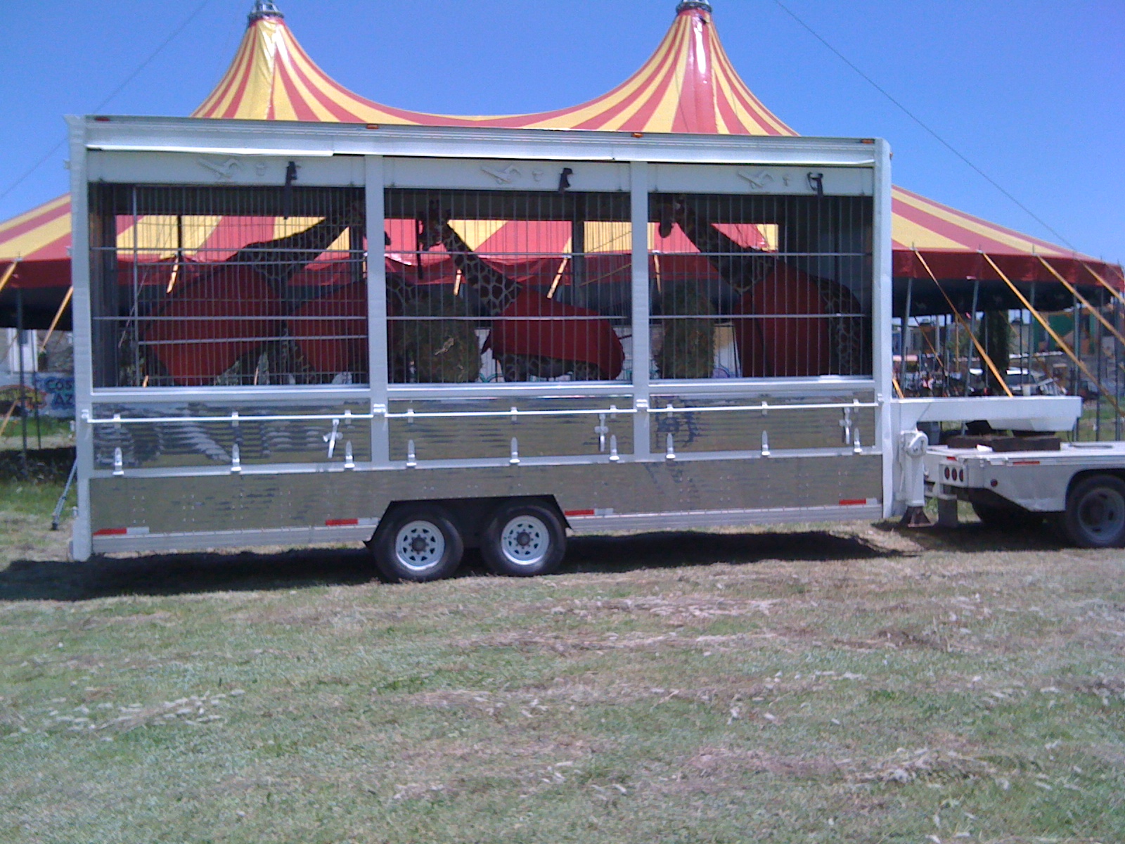 The Circus "NO SPIN ZONE": For RJR--Giraffe Trailer Blanketed & Ready ...