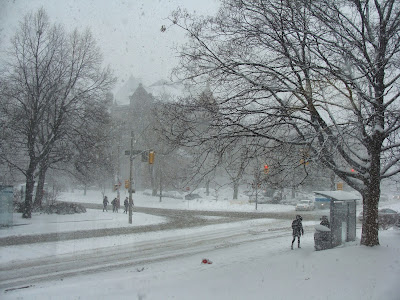 The City and the World: March in Toronto.