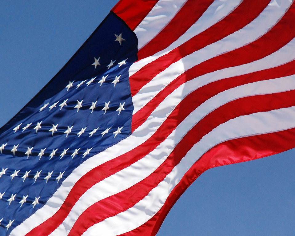 50+ Inc Flag Wave - はがととめ