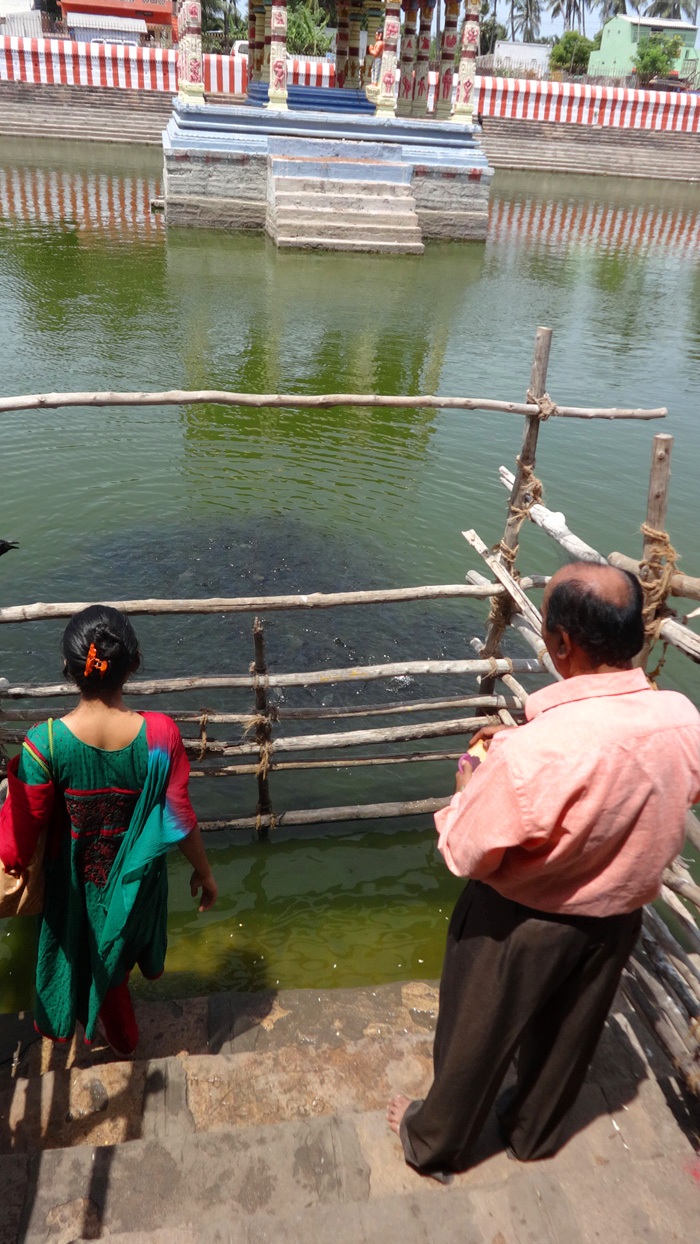 Tamilnadu Tourism: Lakshmana Theertham, Rameshwaram