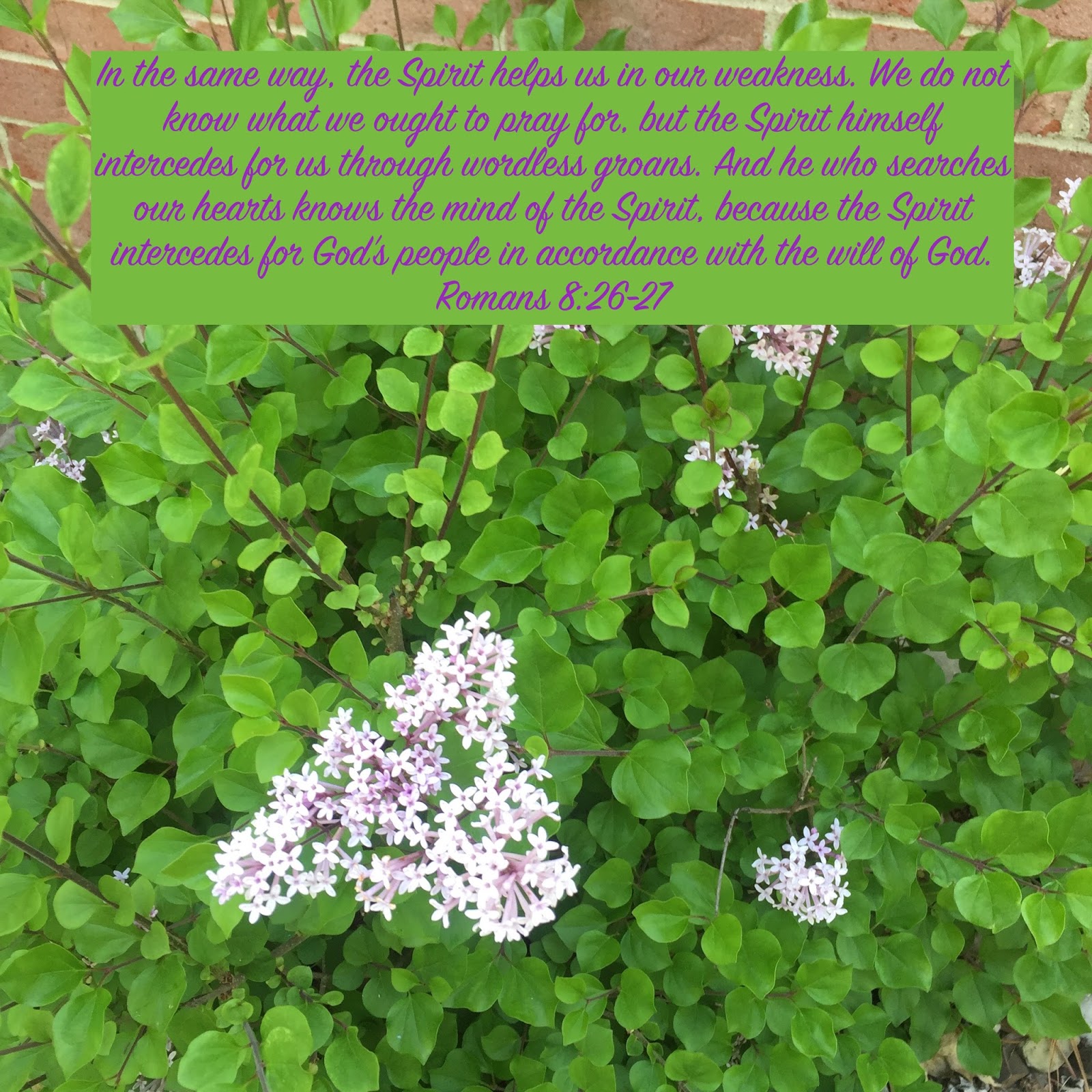 My Strength: Romans 8:26-27 - "Just Be Held"