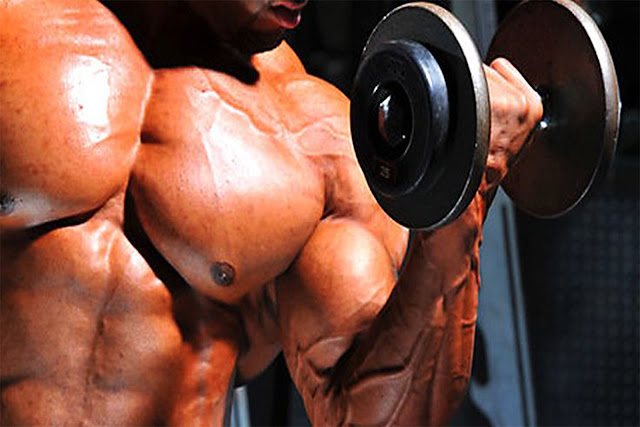 November 2015 - Workout Bodybuilding stretch bands