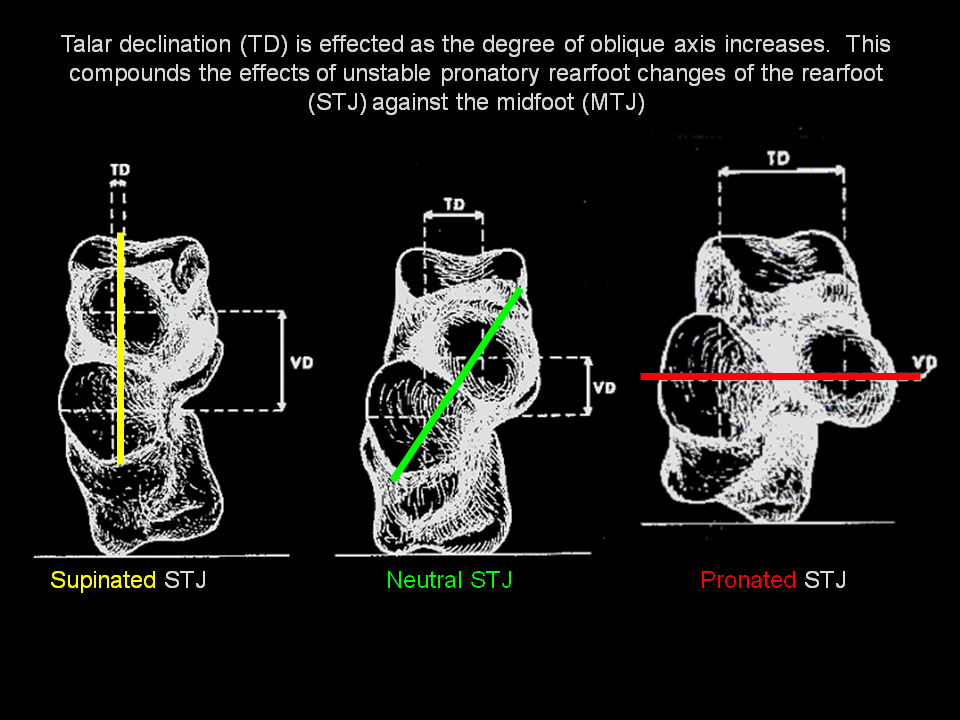 Medical Case Histories and Treatment