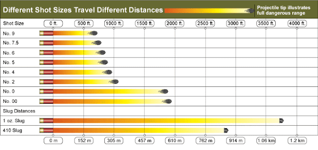 Vintage Outdoors: Rifle Caliber and Shotgun Load Dangerous Range Charts