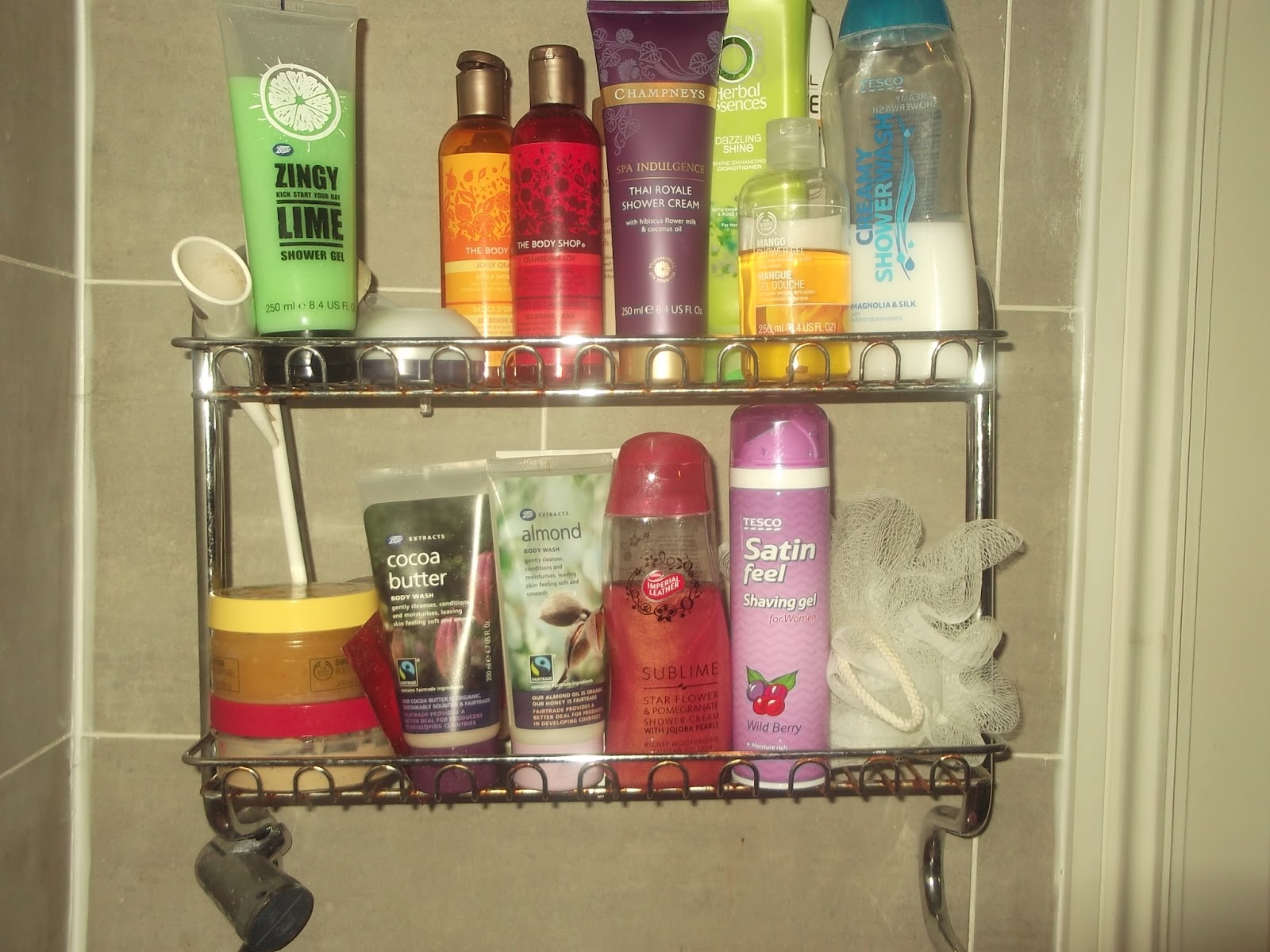 Just a Dream: Whats in my shower?!