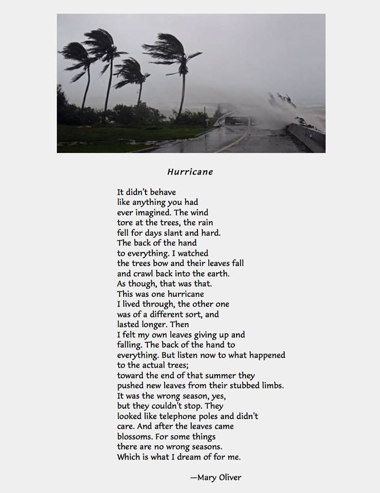 Collecting My Thoughts: Hurricane by Mary Oliver
