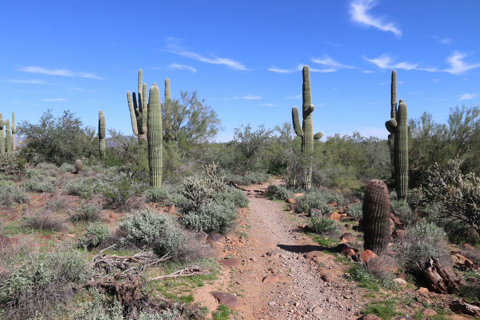 gjhikes.com: Apache Wash Loop