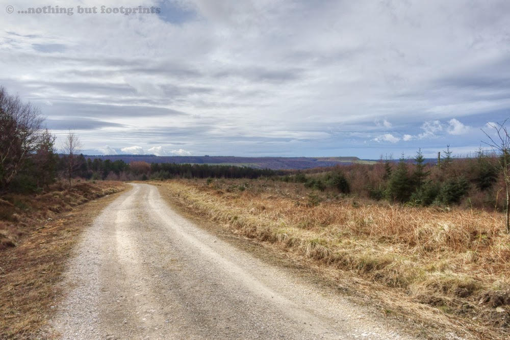 ...nothing but footprints: Ravenscar, Harwood Dale & Jugger Howe (North ...