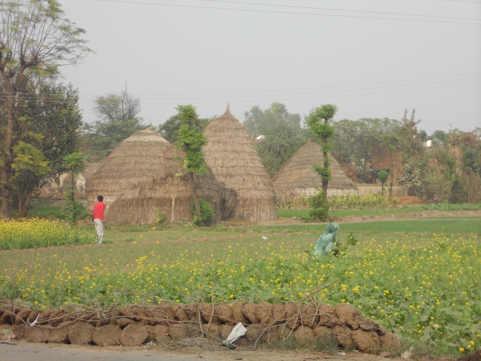 observations of an adventurer: 6 Things I learned in a Punjabi Village