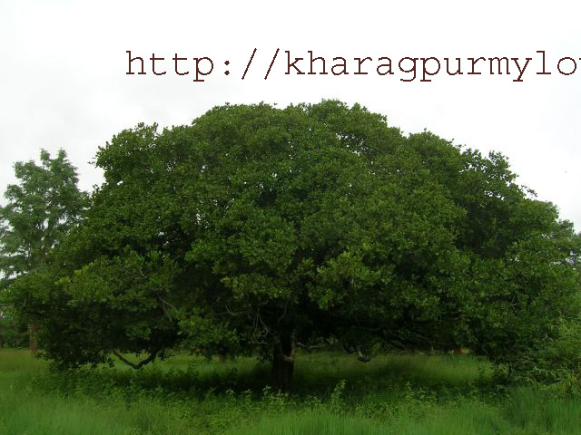 kharagpurmylove: Chakulia:Small Town in the west of kharagpur