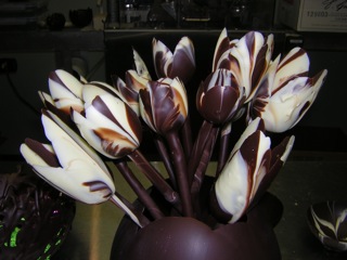Chocolate Tulips in Bloom