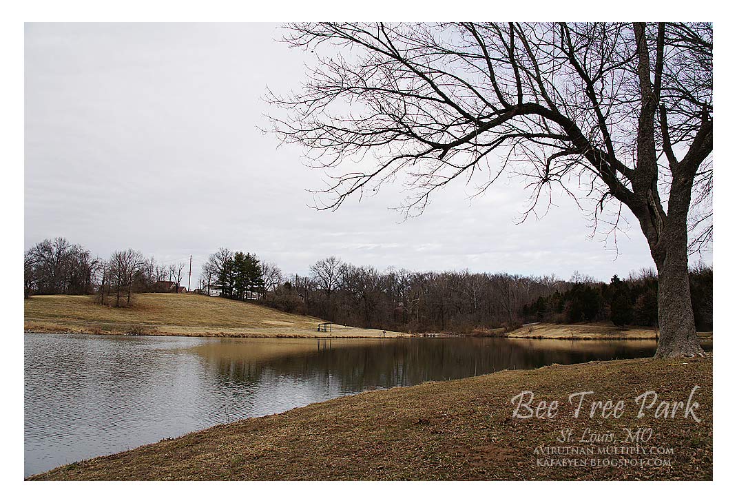 KaFaeYeN: Bee Tree Park, St. Louis, MO