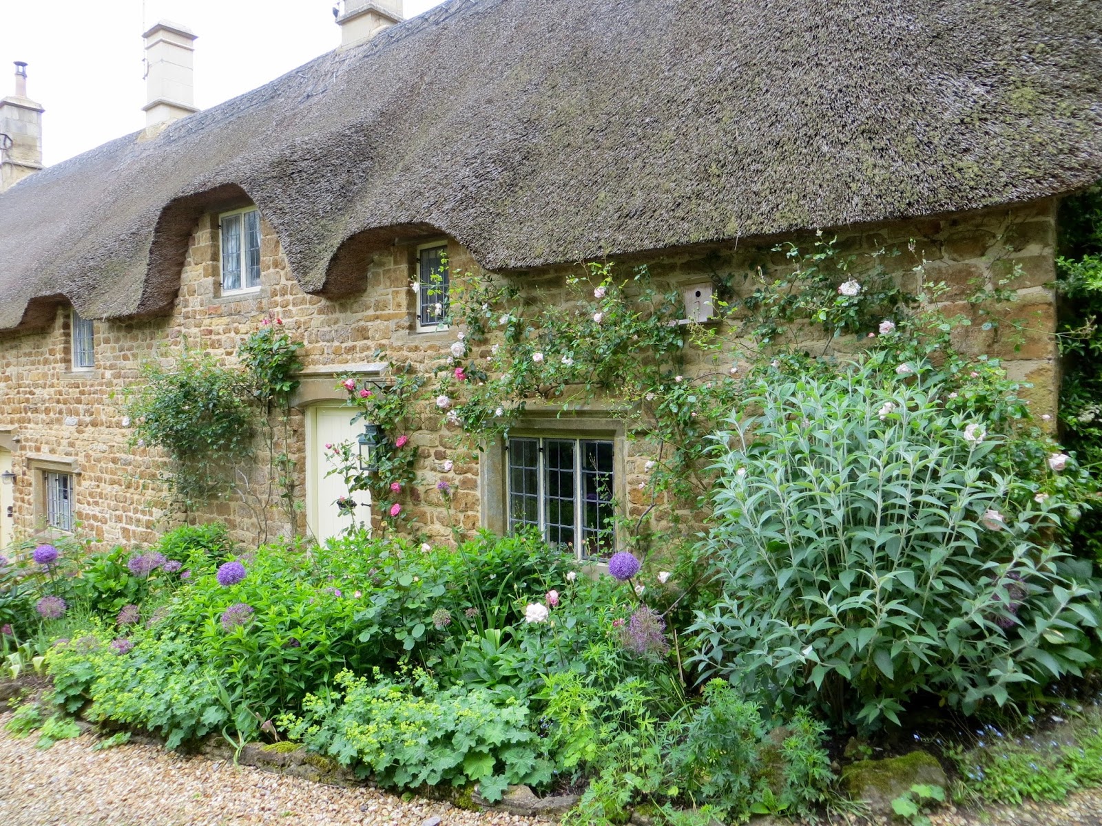 Curiouser and Curiouser: Great Tew and the Falkland Arms