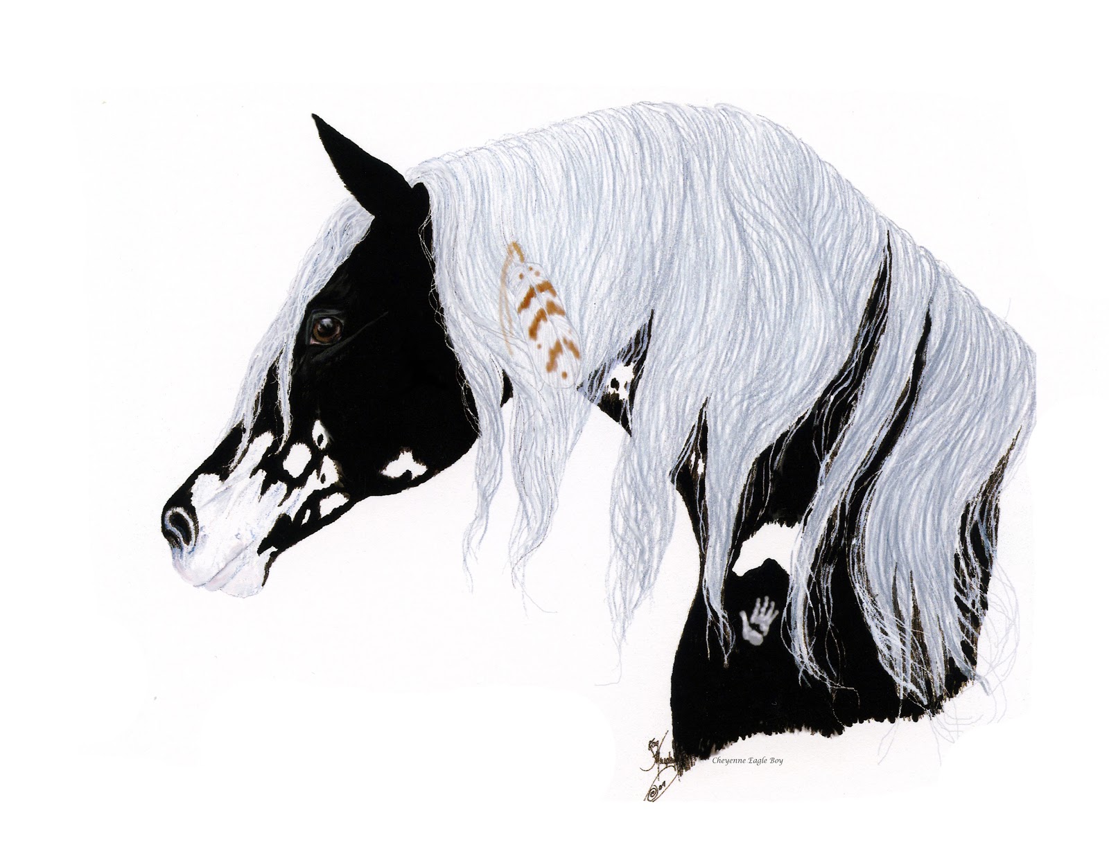 Kay Murphy's Studio Kay Murphy-Wallace:artist: New Designs for cards ...