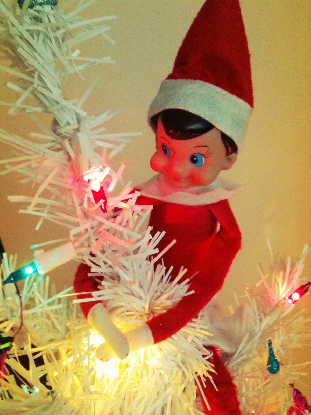 The Tale of Olivia's 65 Roses.: The Adventures of Miss Elf