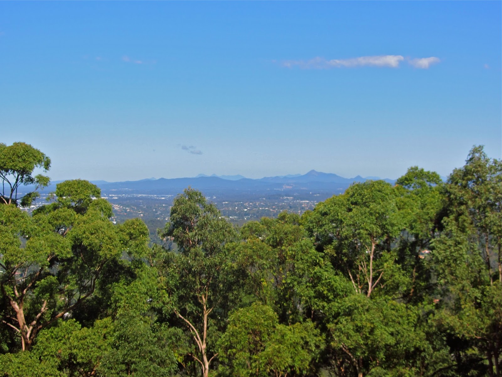 Walking with Friends Down Under: Mid WINTER walk - Mt Cootha