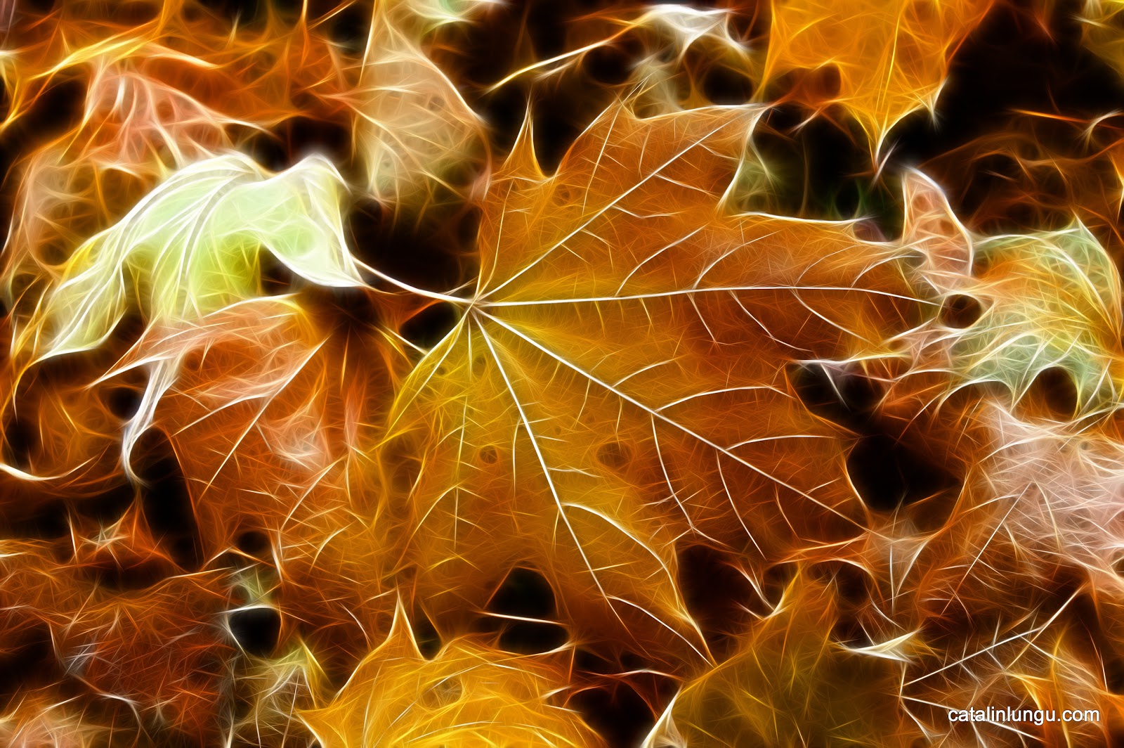 Fractal Autum Leaves