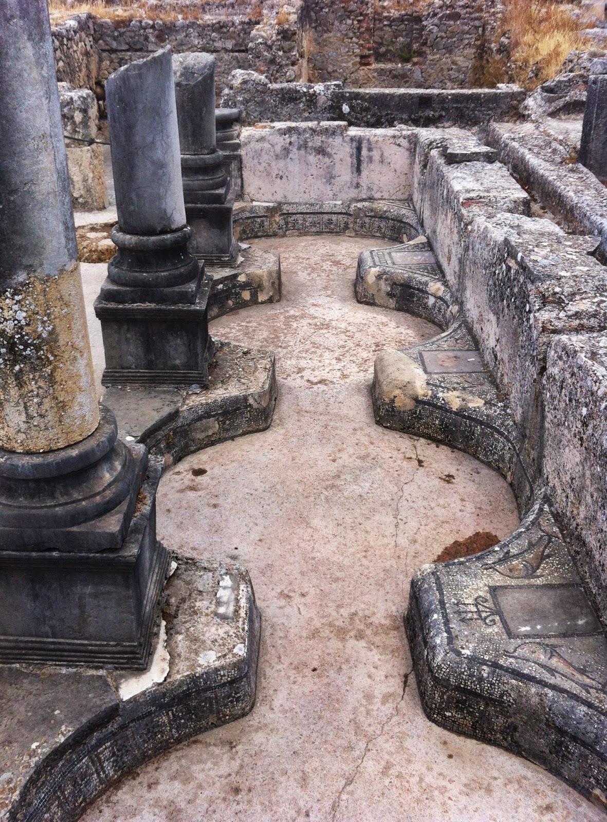 .petrickle.: volubilis AKA walili