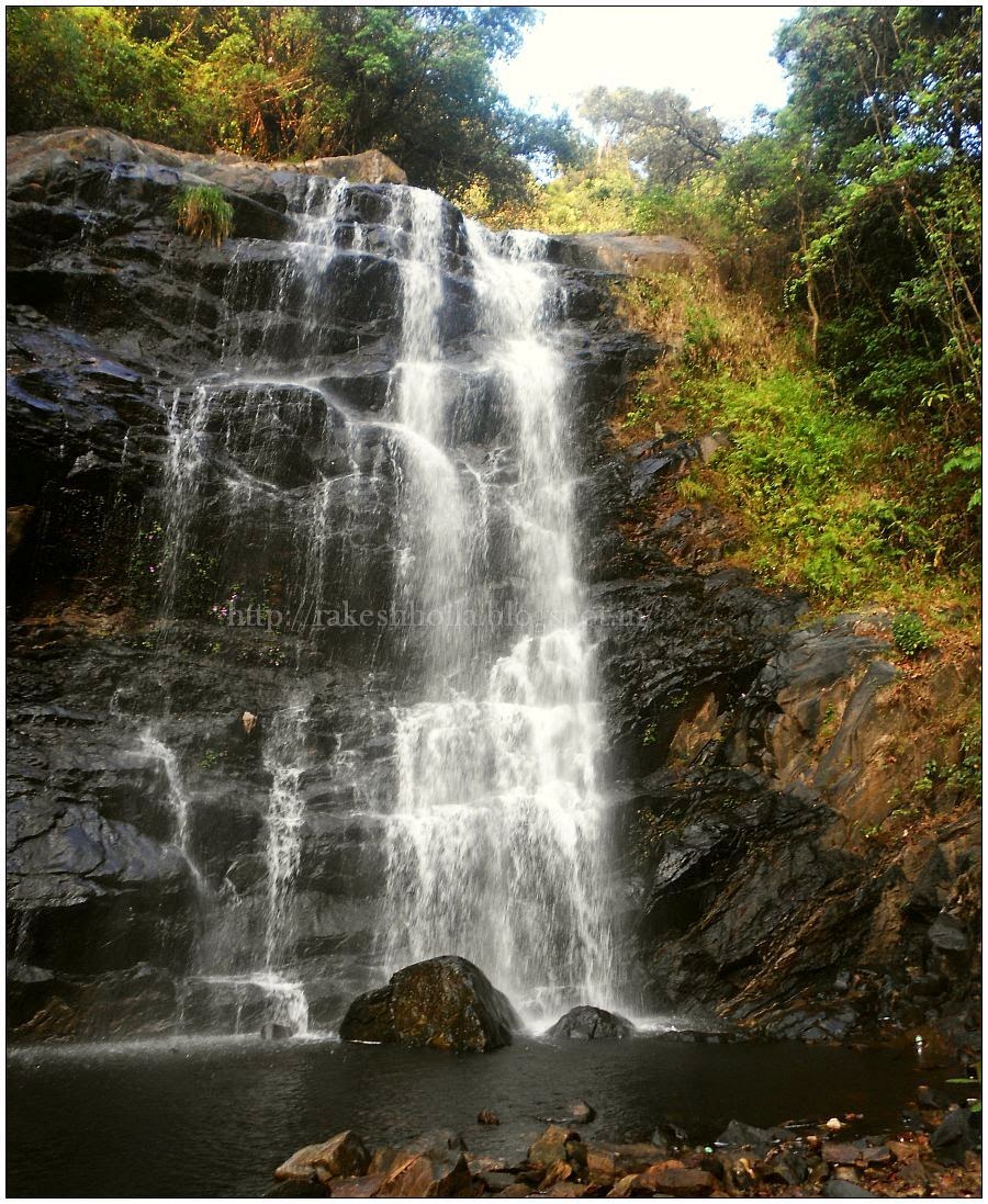 The Voice of Greenery - Trekking and Travelling in Western Ghats ...