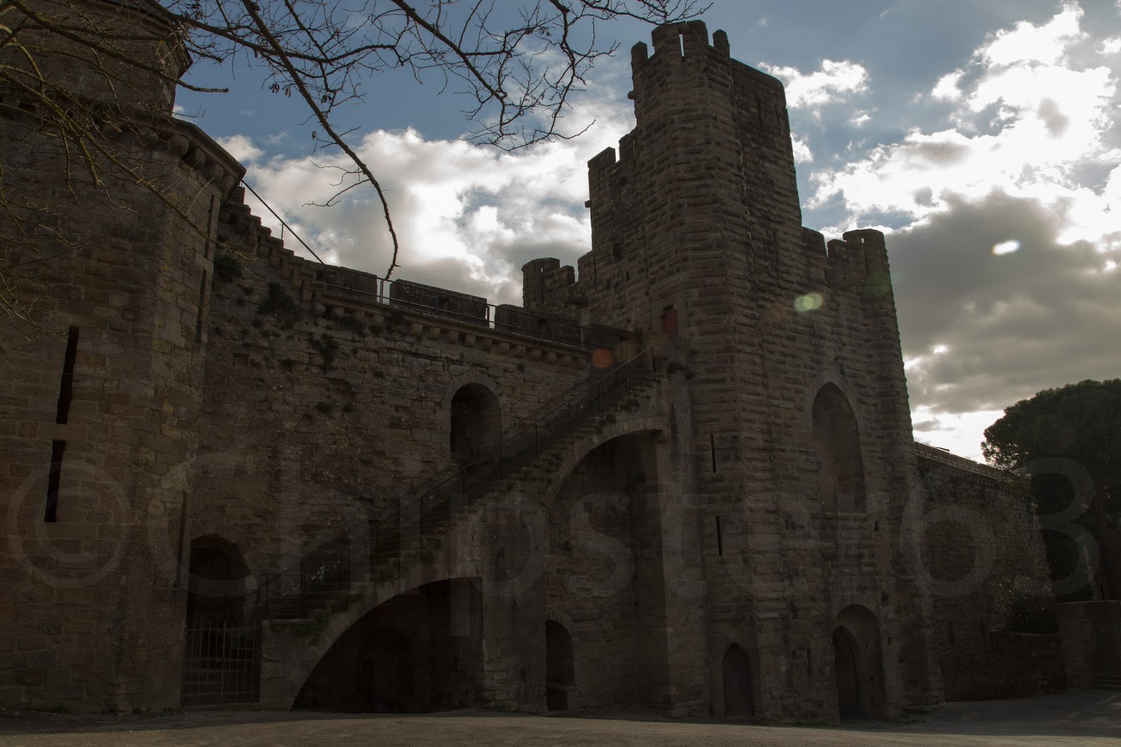 Chipster63 Photography: Fetchez la vache