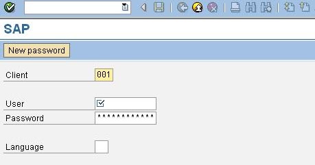 How to login in SAP - SAP User Manual