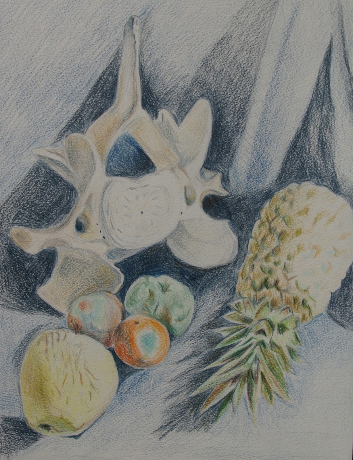 Aylish's OCA Learning Log: Assignment One: First Drawing - Natural Forms