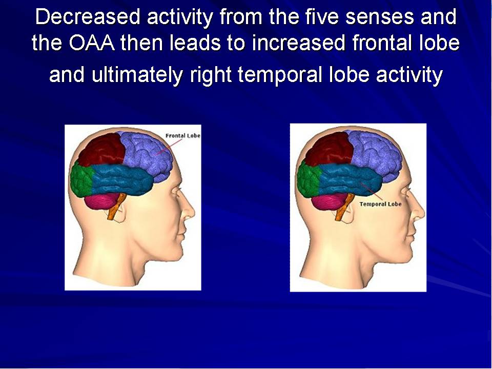 The Thoughtful Vegetable: Angela Ronson Part 3: How Our Brain is ...