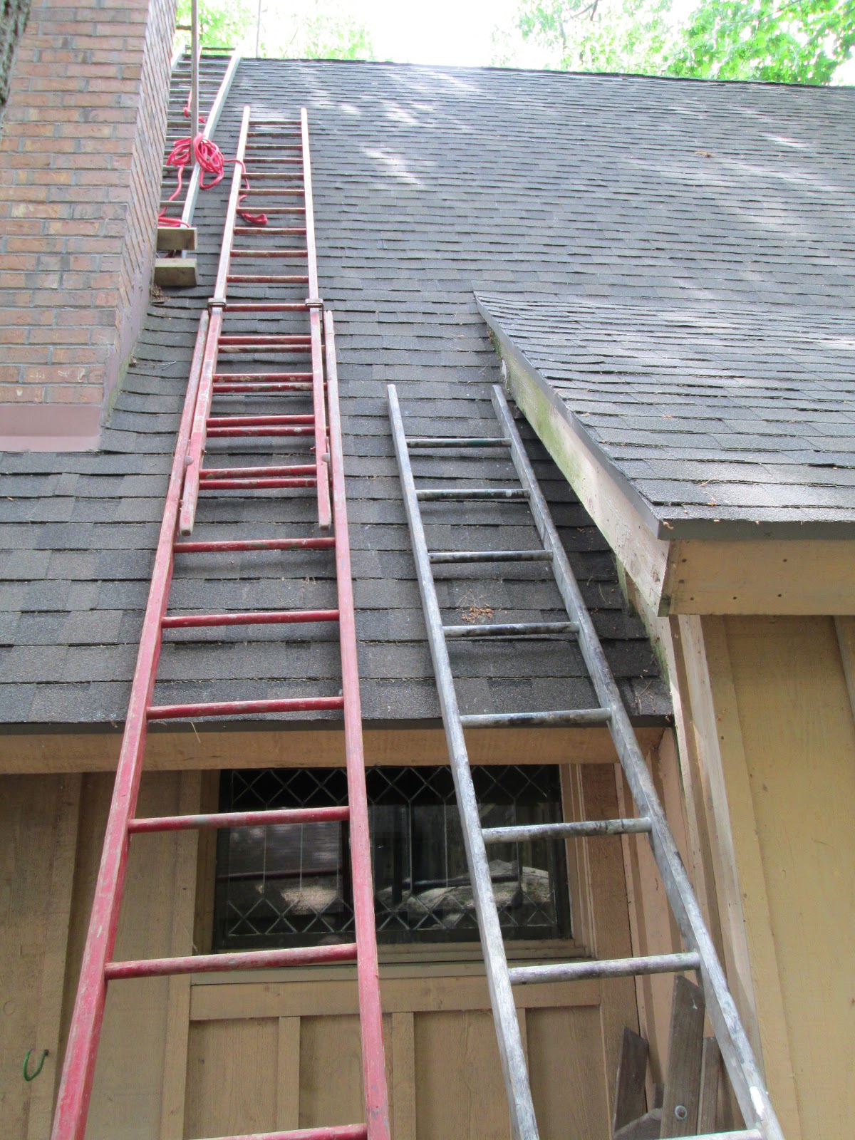 The Elenbaas Family: Safety First