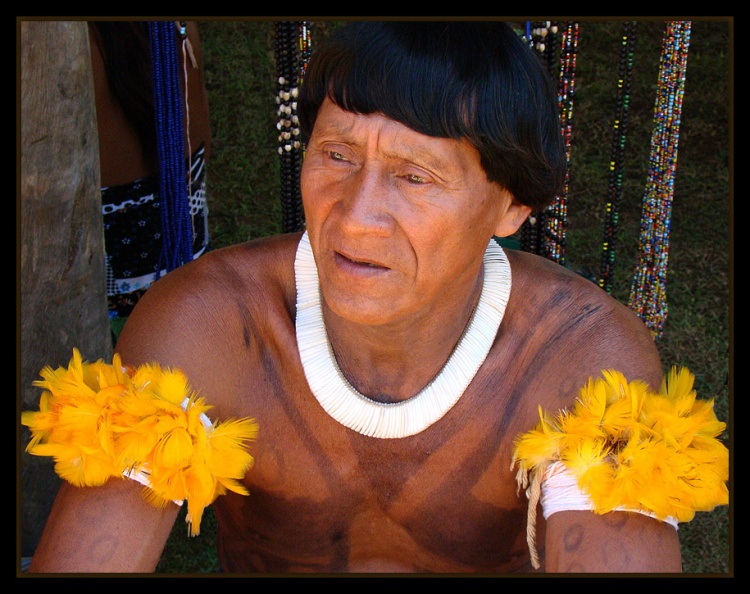 "ALQUIMYA DA CURA" : KAXINAWÁ - HUNI -KUIN - "A FORÇA DO CORAÇÃO DA ...