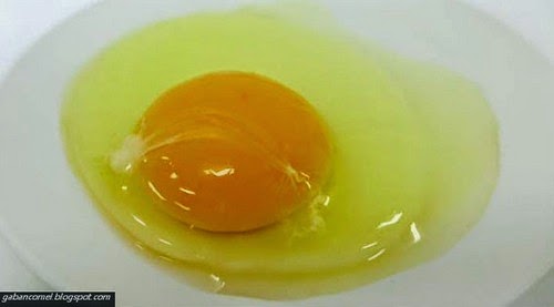 Pelik! Di Jepun, Telur Ayam Berperisa Buah Limau. - Gaban Comel