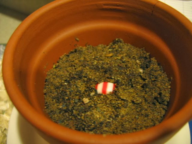 CONTROLLING Craziness: How to Grow a Candy Cane