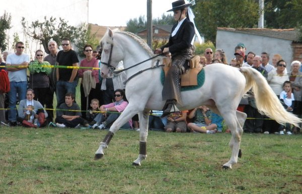 Blog Zuares Del Páramo (León): Esperctaculo de caballos Fiestas Zuares ...