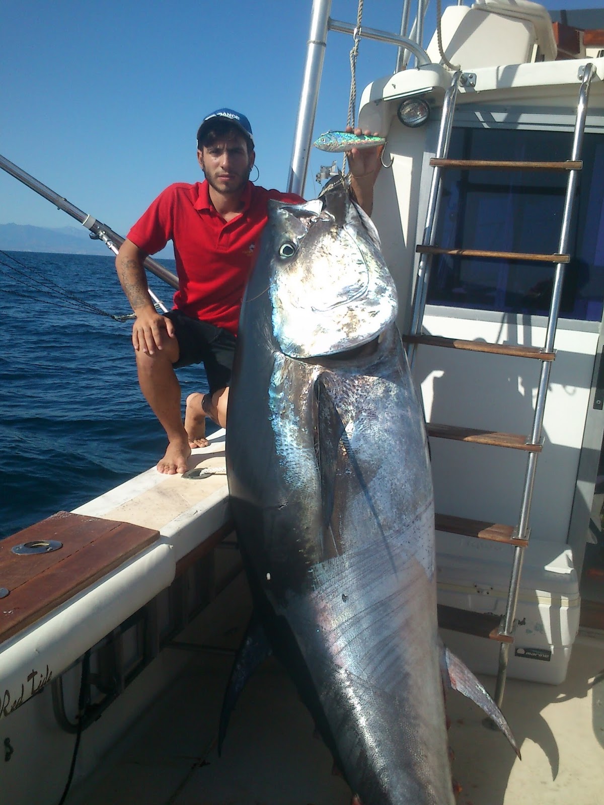 Pesca en Barco en Marbella: Atun, un gigante en Marbella