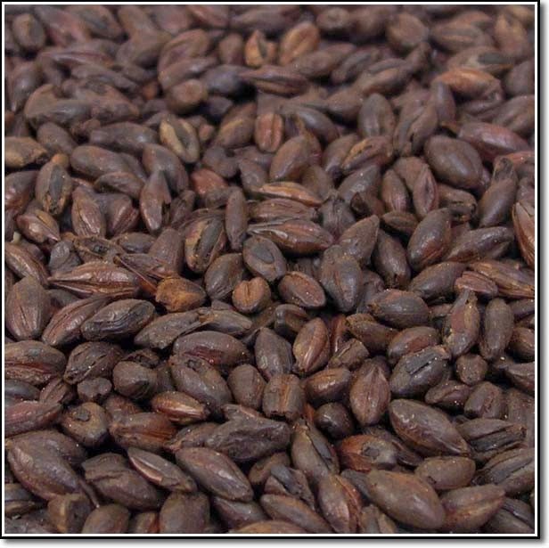 Biological Brewing: The Magic of Maillard