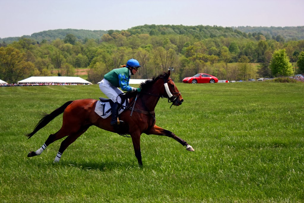 Steeplechase Track Layout - Aintree Racecourse & Grand National ...