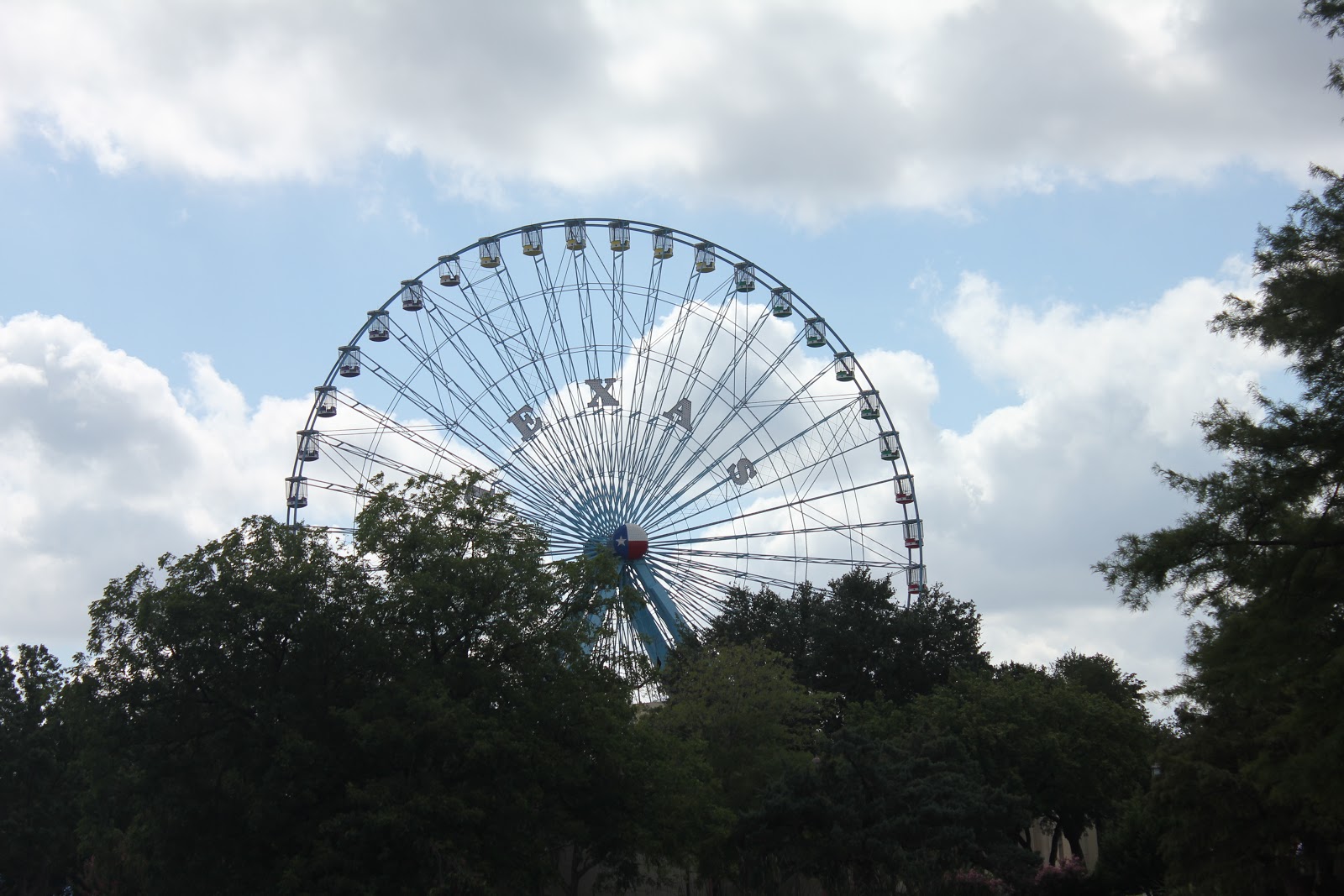 Ladybug from Texas: The Texas Star...