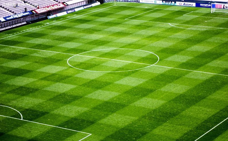 Dekorasi Grass: Mengenal Jenis-Jenis Rumput Di Lapangan Sepak Bola