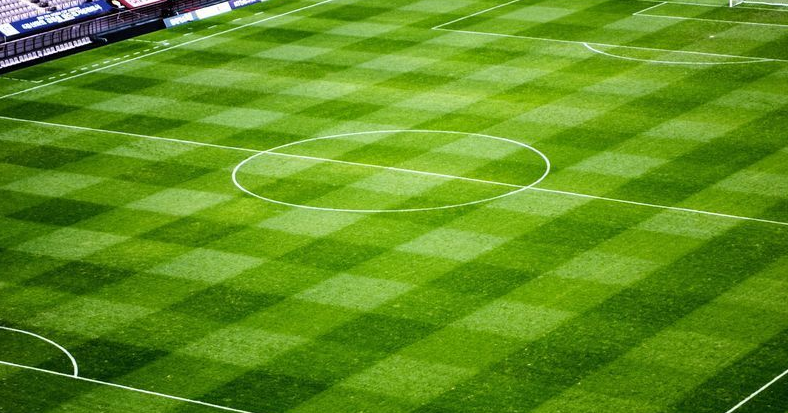 Dekorasi Grass: Mengenal Jenis-Jenis Rumput Di Lapangan Sepak Bola