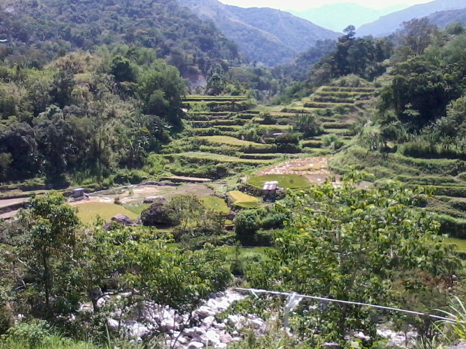 Saan Patungo ang Langay- Langayan?: EXPLORE YOUR DREAMS & EMBRACE YOUR ...