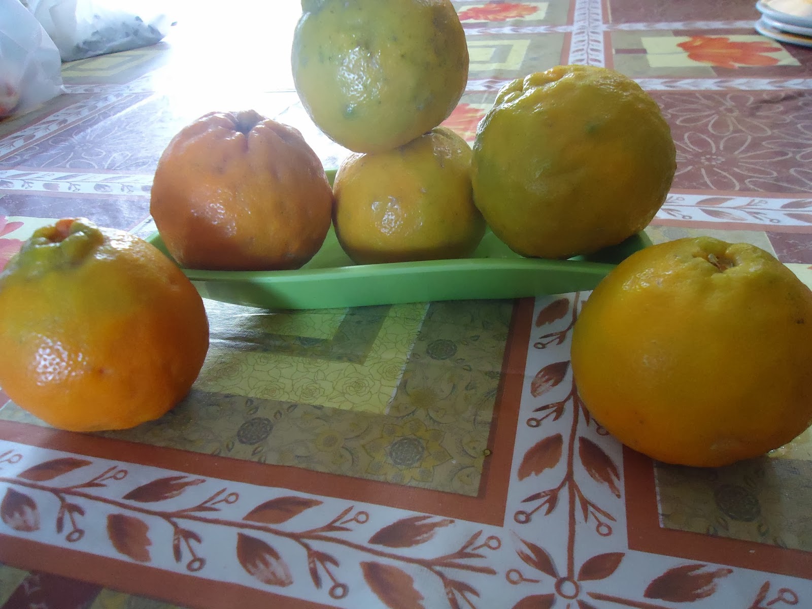 Kusuma's Abhiruchi: Narinja Kaya Pickle